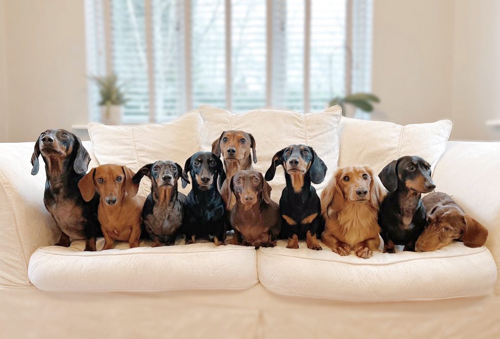 Blog | Adele de Caso